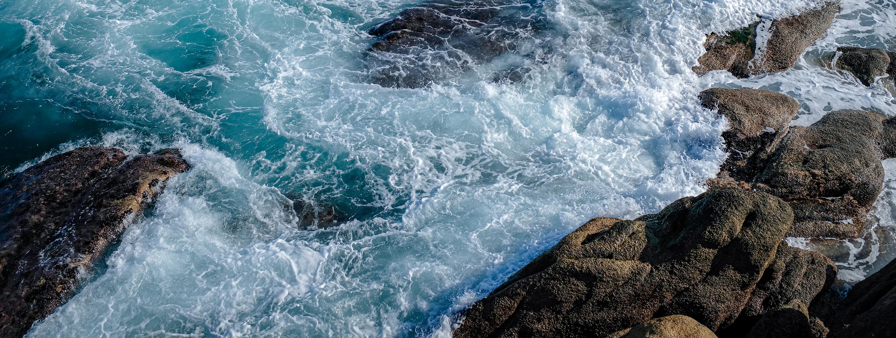 Matavfall - Avfall Sverige